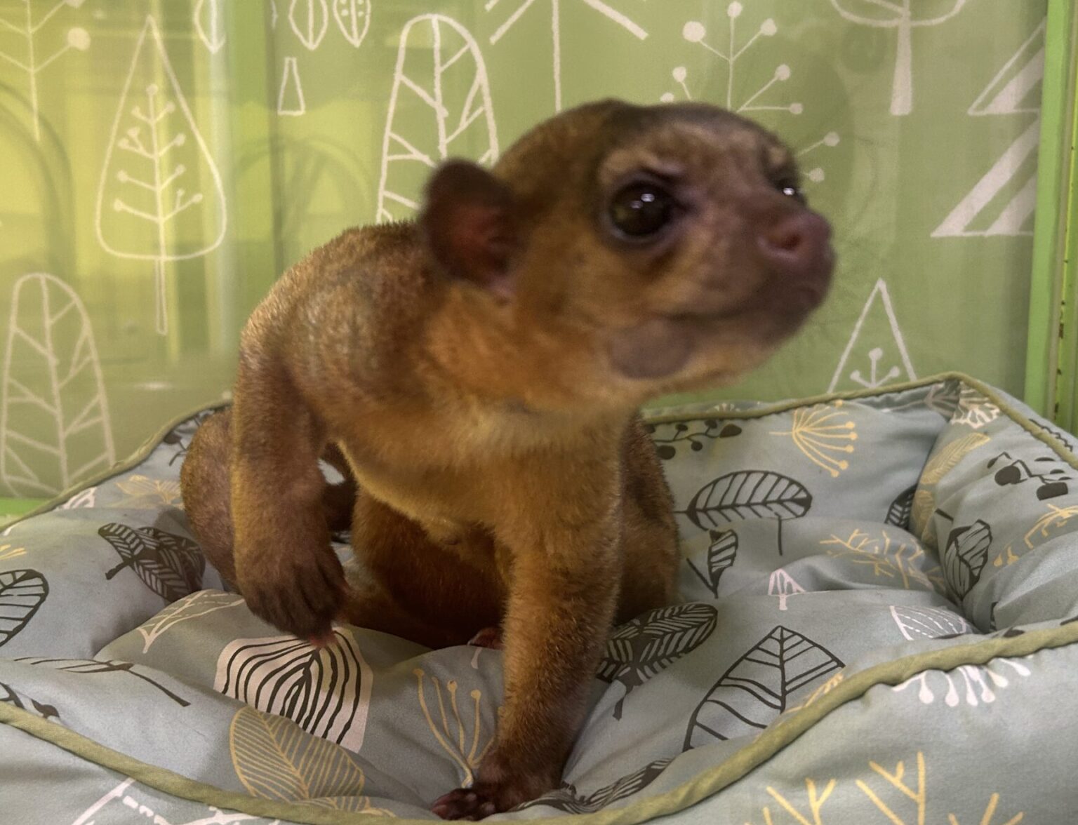 ゆきまま 超初心者向けのVBA講座 - VBA独学学習用サイト サンプル集 暮らしの情報